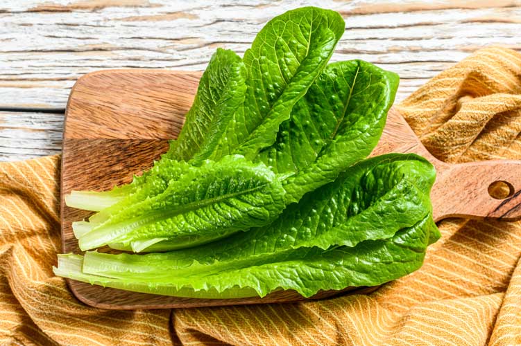 Romaine sla bakken en anders bereiden.